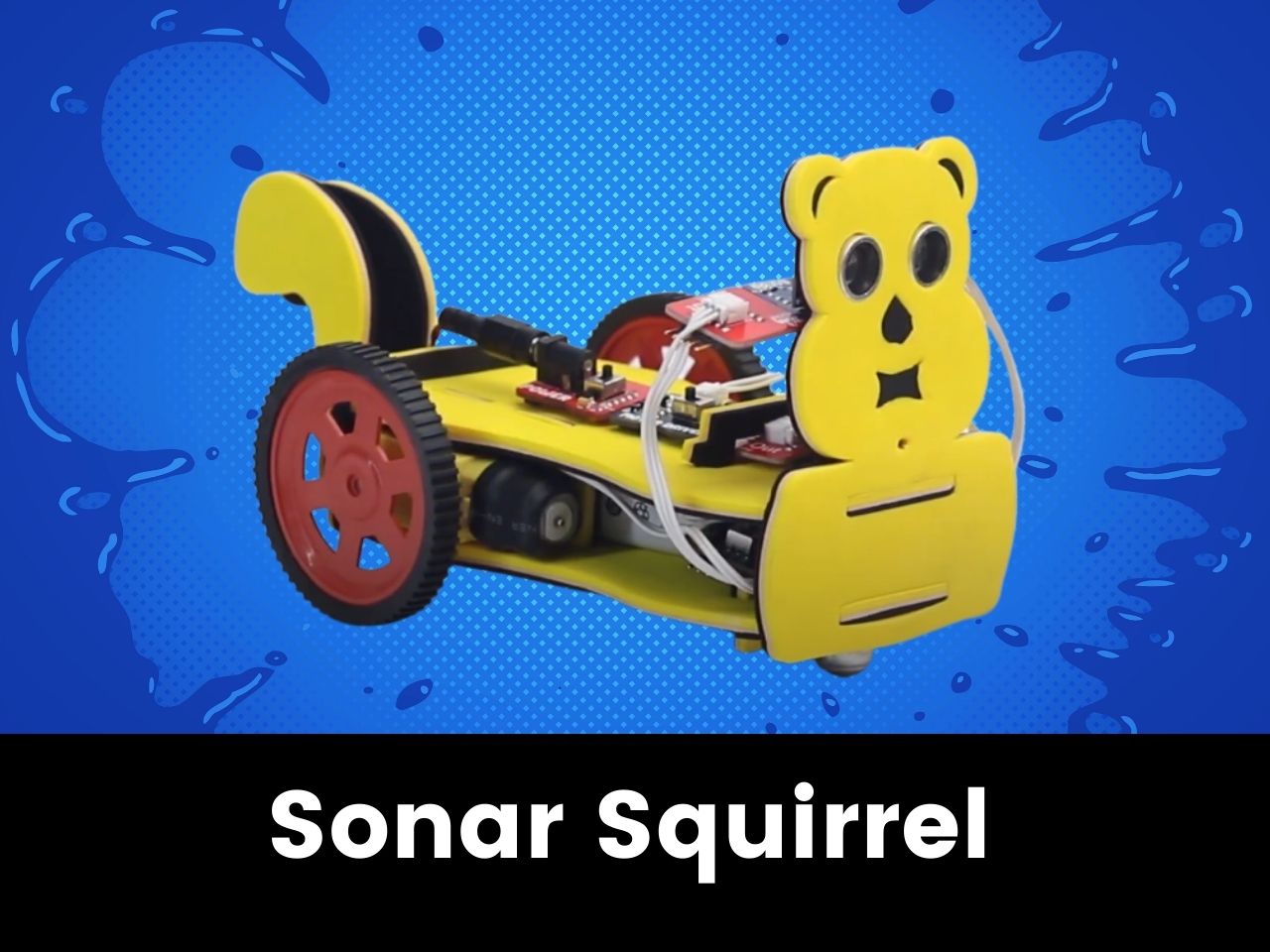Sonar Squirrel – WitBlox