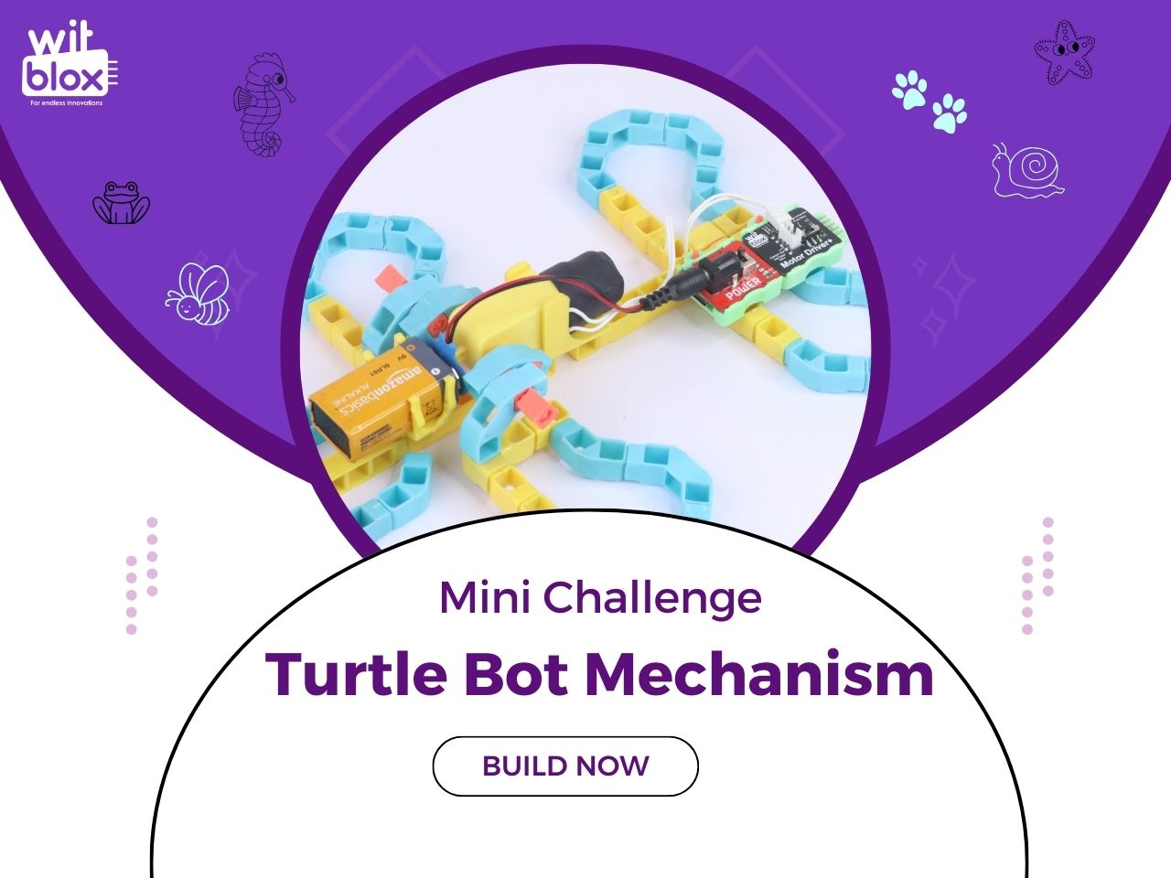 Mini Challenge -Turtle Bot – WitBlox