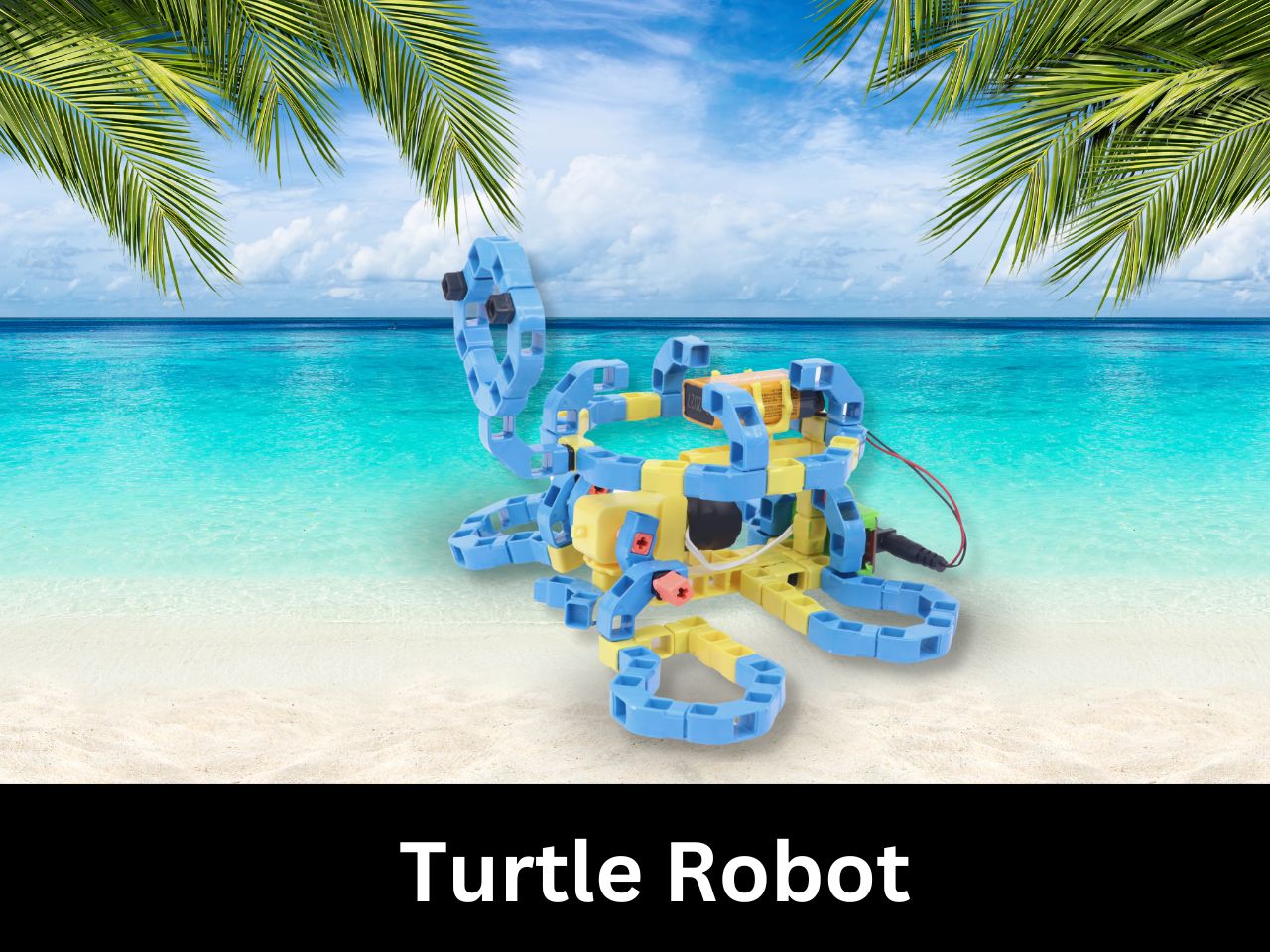 Turtle Robot – WitBlox